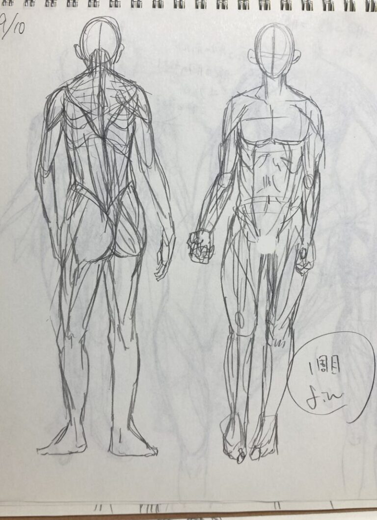 【イラスト修行】モルフォ人体デッサン2週目終了。クロッキーは学んでおくべき。 | sin-zakki